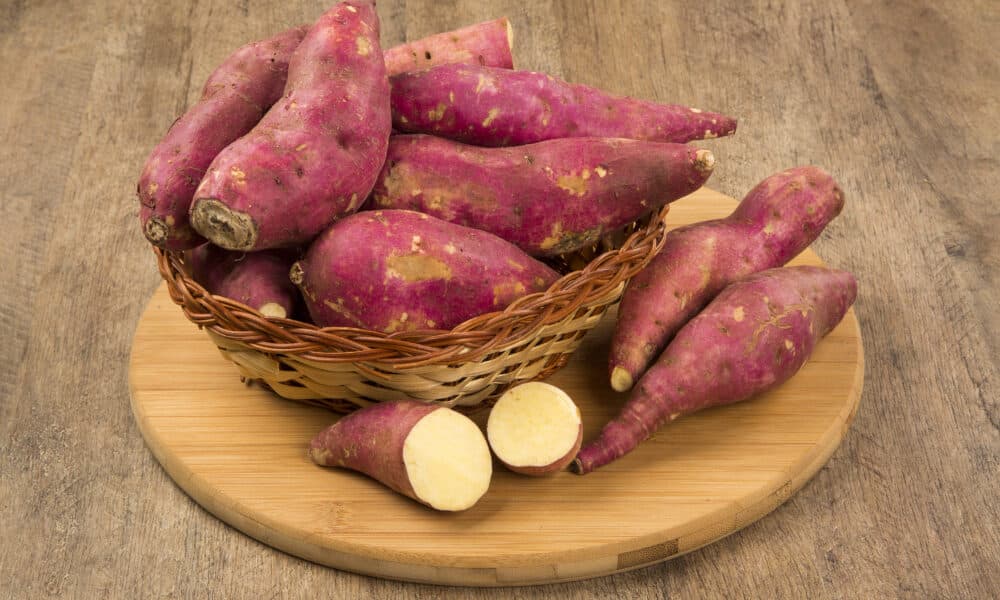 Tão doce quanto saudável: confira os principais benefícios da batata doce Tão doce quanto saudável: confira os principais benefícios da batata doce
